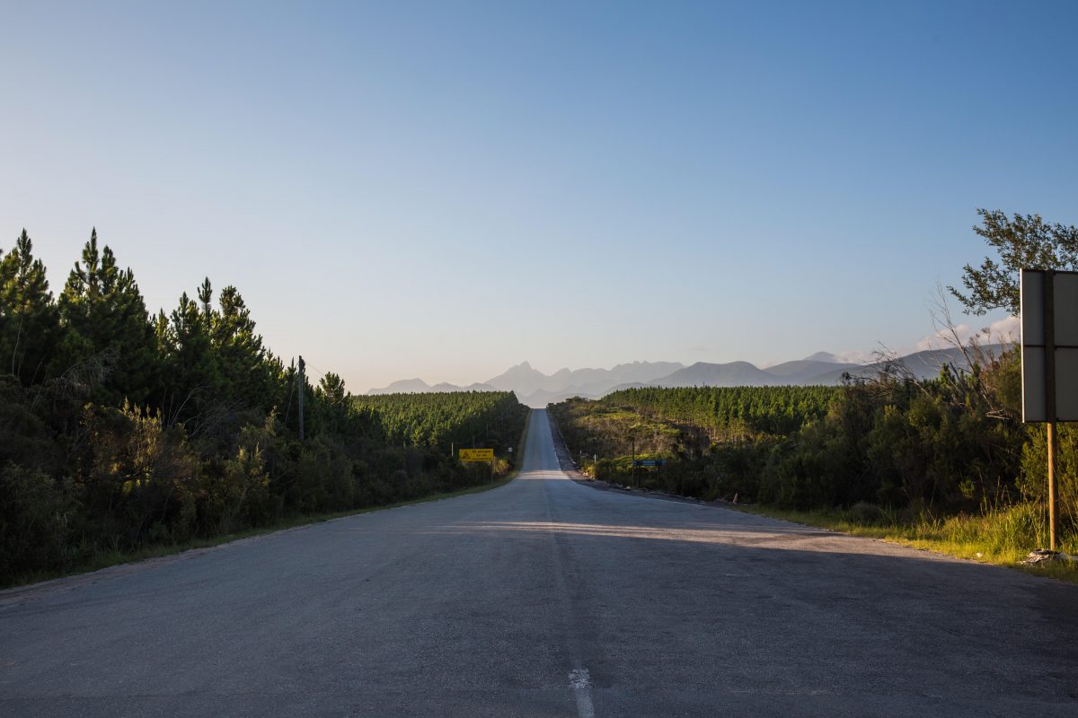 test-image-7MB | everybody.org.uk